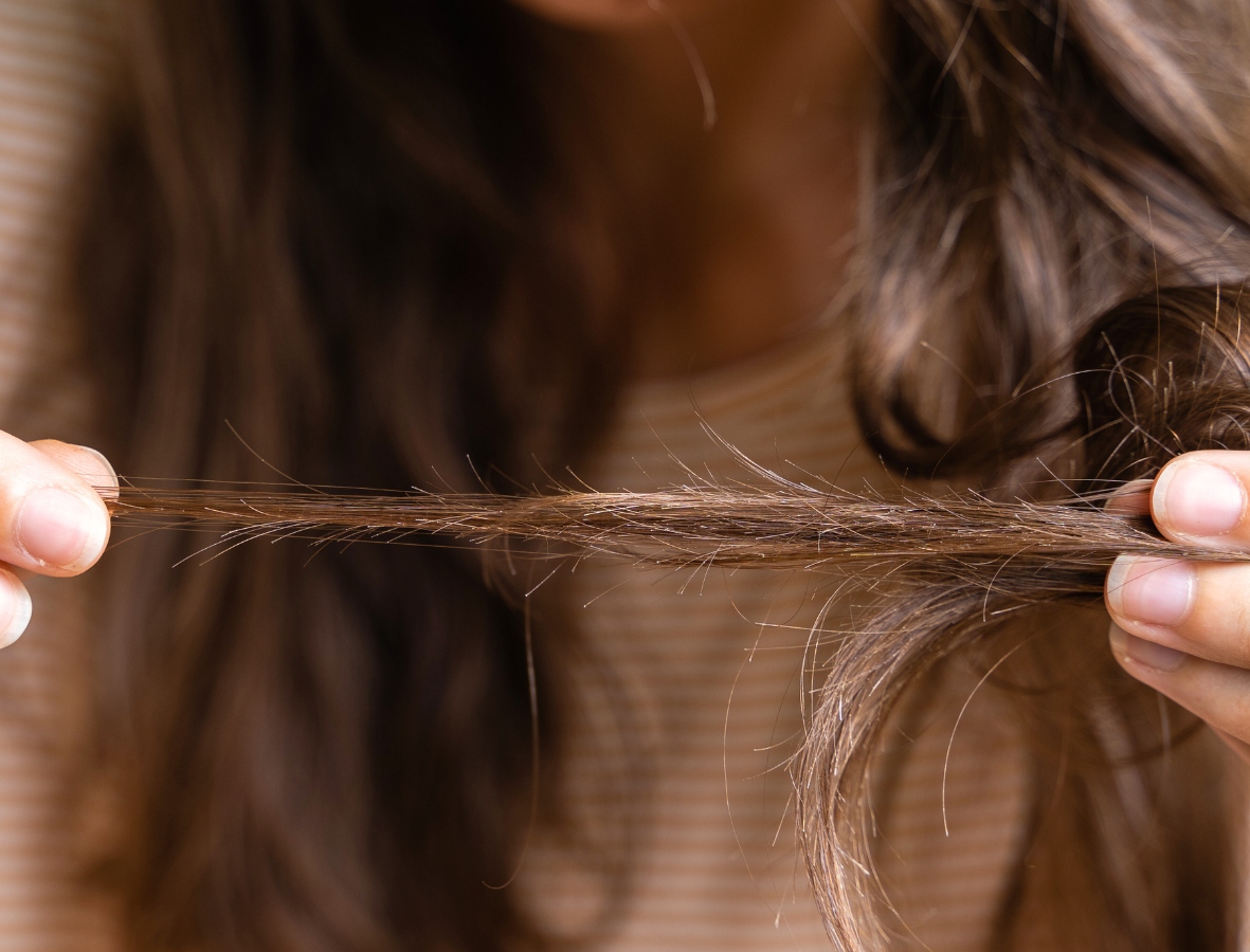 How To Prevent Split Ends – Calia Natural